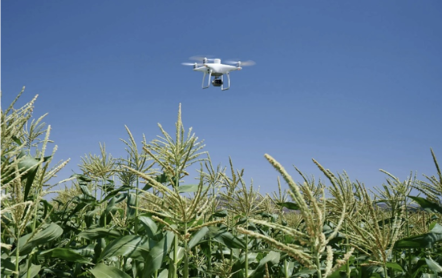 Pros & Cons of the Phantom 4 Multispectral - Survey Drones